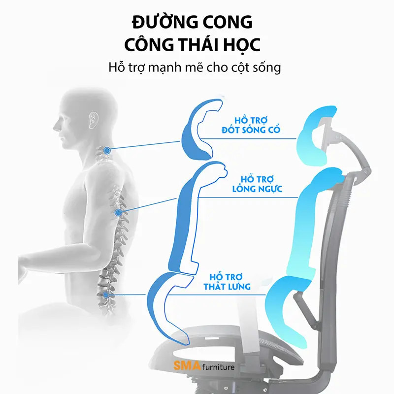 Ghế Công Thái Học SMA Lumbar: Giải Pháp Toàn Diện Cho Sức Khỏe Văn ...